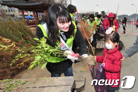 [화보]경북생명의숲 포항 나무나눠주기 행사 '대박' - 뉴스1